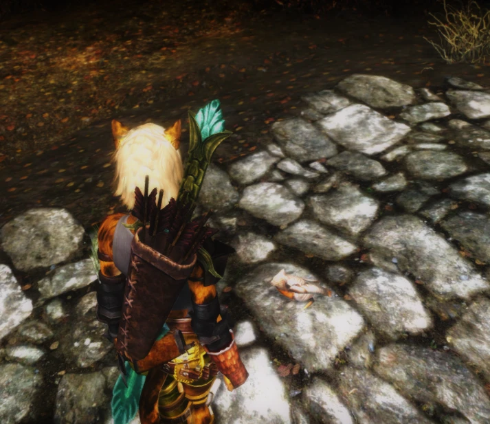 The Bird At Skyrim Nexus Mods And Community