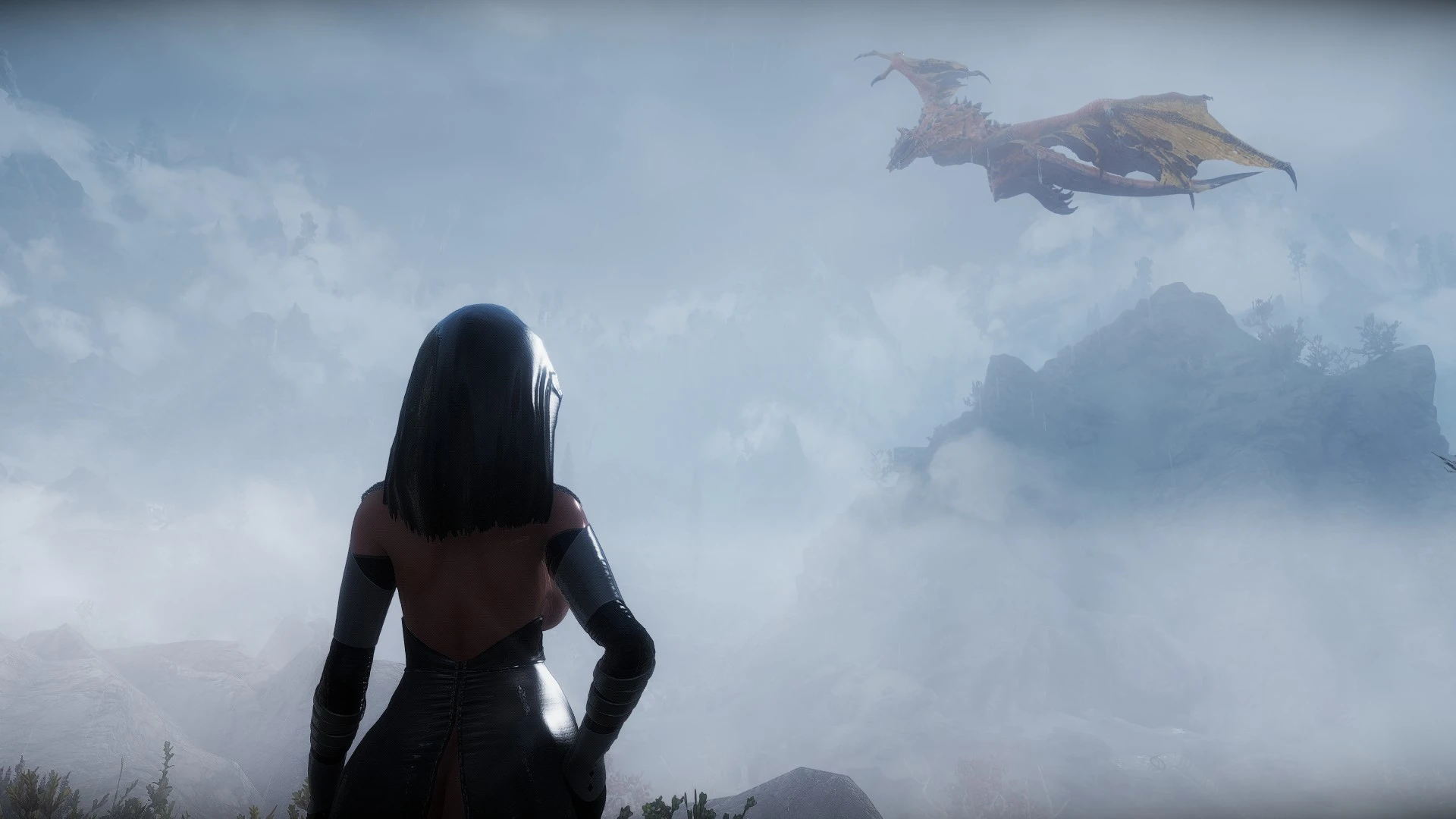 1 At Skyrim Special Edition Nexus Mods And Community
