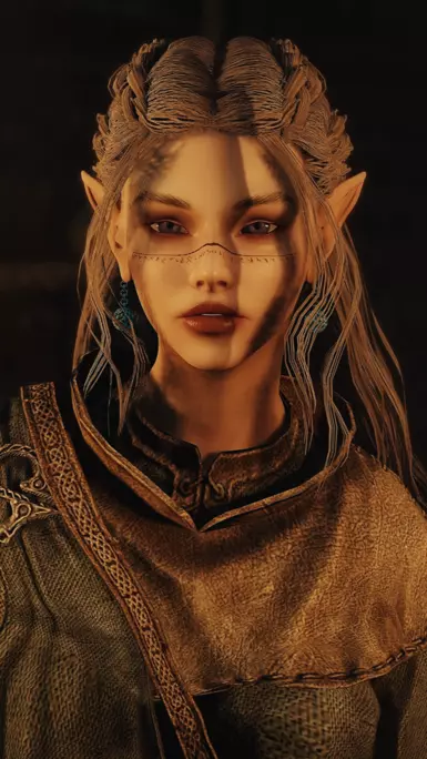 High Elf Character At Skyrim Special Edition Nexus Mods And Community
