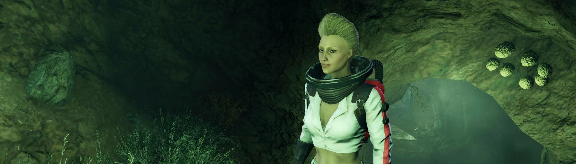 Nuka Girl Companion Formerly Settler Hero At Fallout 4 Nexus Mods And Community