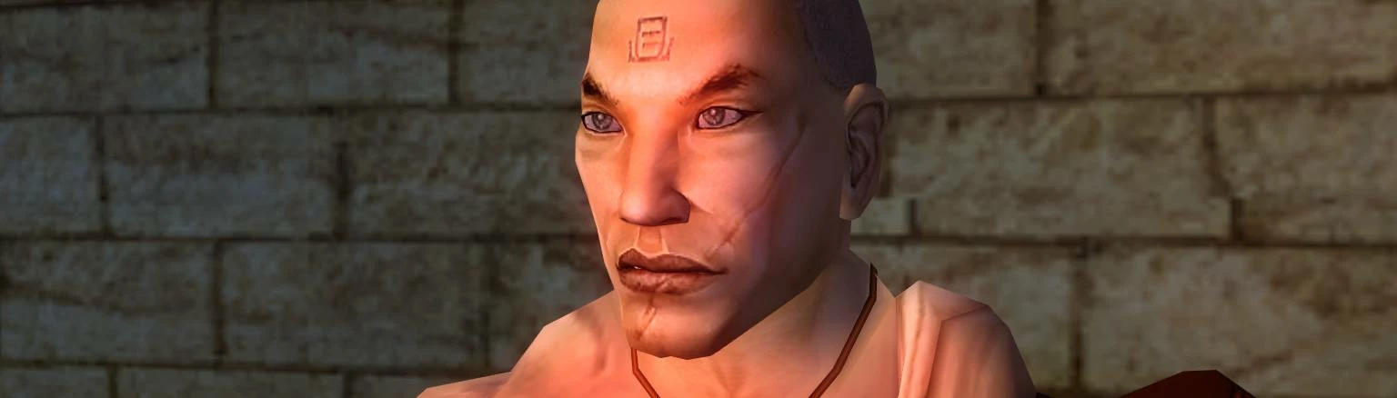 Lotus Assassin Sagacious Zu At Jade Empire Nexus Mods And Community